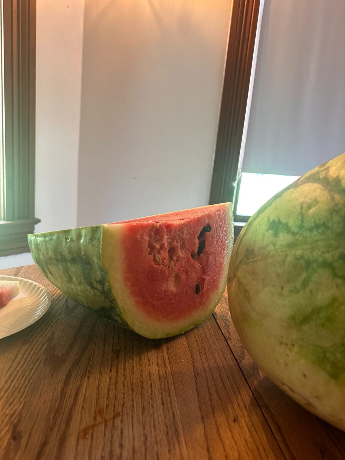 26lb Pink-Fleshed Watermelon (and a 45lb Monster Melon) | The Survival ...