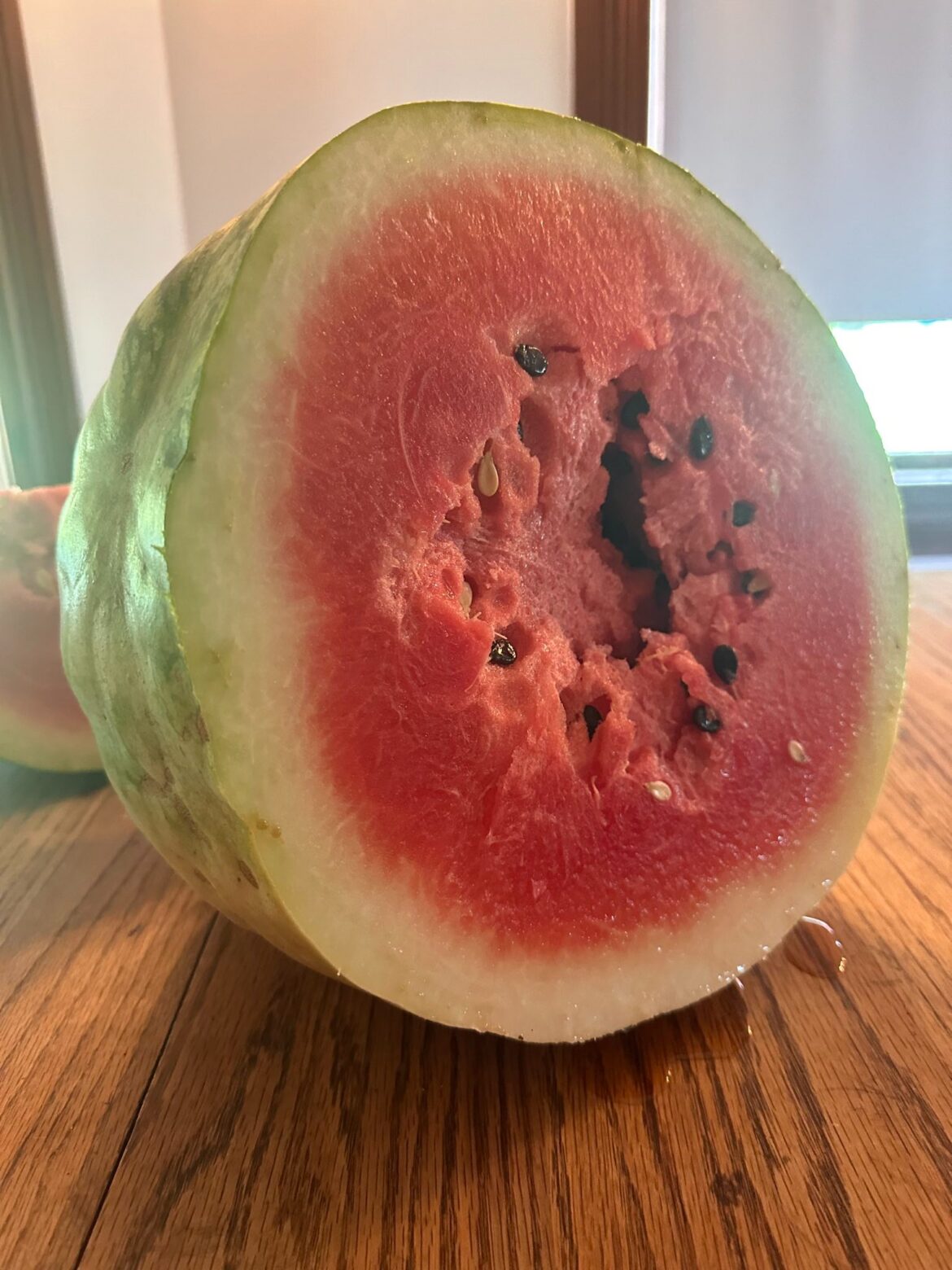 26lb Pink-Fleshed Watermelon (and a 45lb Monster Melon) | The Survival ...