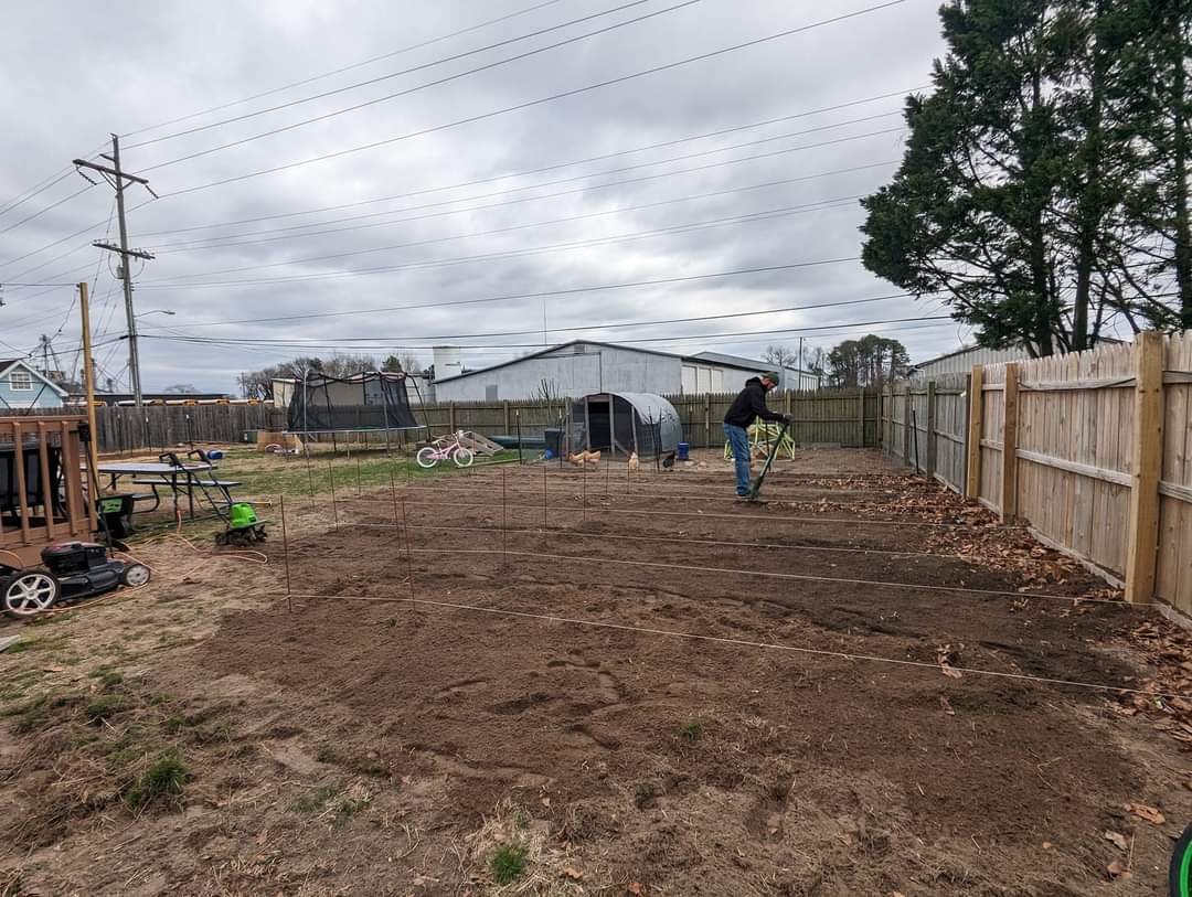 Grocery Row Gardening Delaware-Style: Food When It Counts! | The ...