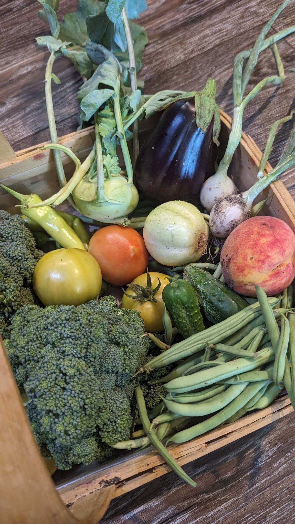 Grocery Row Gardening Delaware-Style: Food When It Counts! | The ...