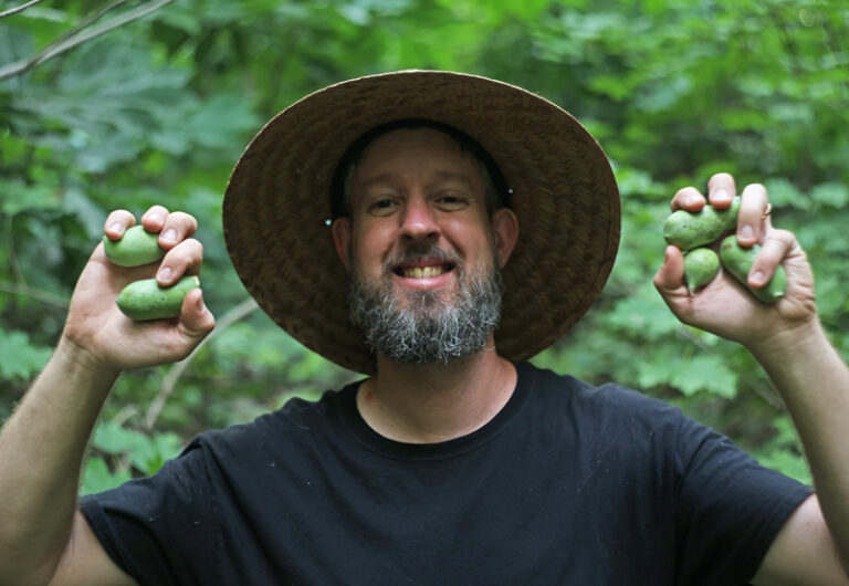 Hunting Wild PawPaws in Hannibal Missouri | The Survival Gardener