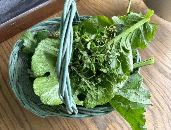 The Survival Gardener | Page 2 of 247 | The David The Good Website