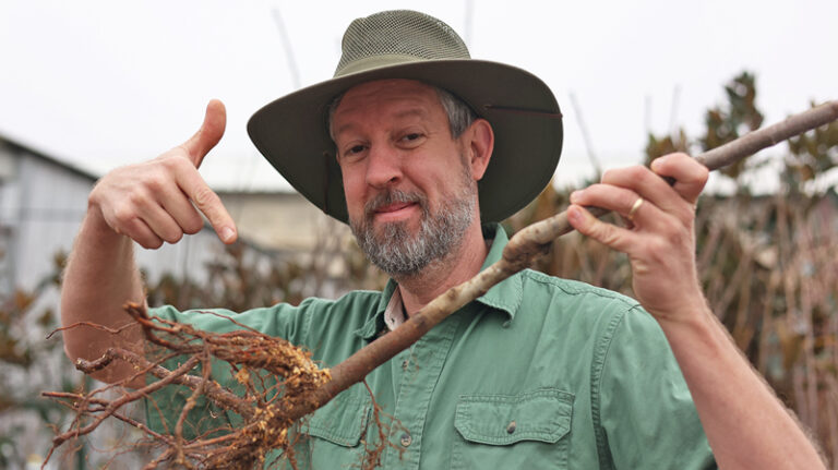 How We Plant Bare Root Trees (And Why We Do It) | The Survival Gardener